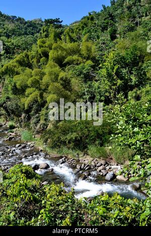 JAMAICA NATURE AND LANDSCAPE Stock Photo - Alamy