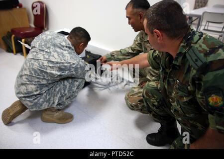 U.S. Army Sgt. Miguel Rodriguez, from Alpha Battery, 2nd Battalion ...