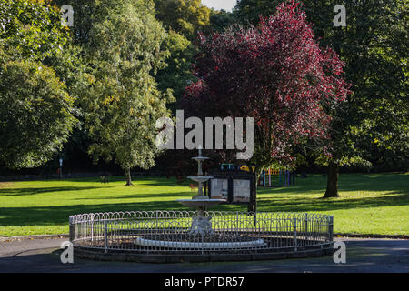 Thomastown Park, Merthyr Tydfil, South Wales, UK. 24 January 2021. UK ...