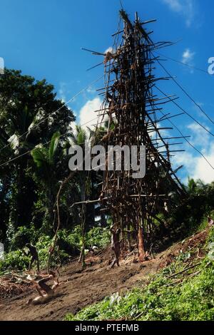 Pacific Ocean, Vanuatu, Pentecost Island, Native children watching the ...