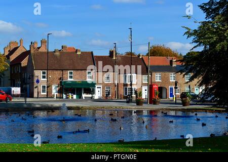 A typical English village duck pond on the green in Biddestone ...
