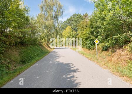 German traffic sign for priority road Stock Photo: 50647058 - Alamy
