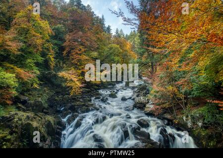 Autumn colours at the Hermitage near Dunkeld in Perthshire, Scotland ...