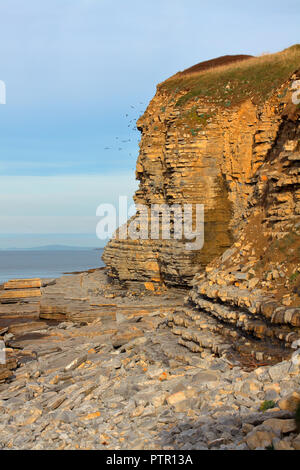 The Rocks and Stones Of Southerndown Beach Glamorgan UK Stock Photo - Alamy
