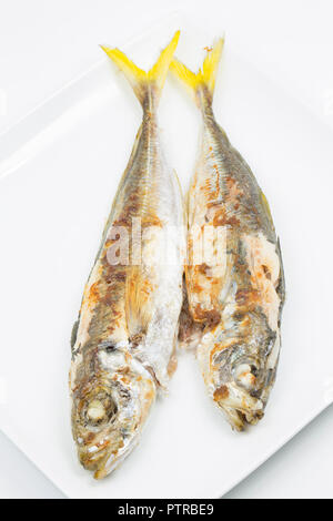 A pair of scad, also known as horse mackerel, Trachurus trachurus, that ...