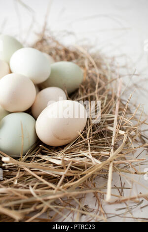 lot of eggs in multiple colors Stock Photo - Alamy