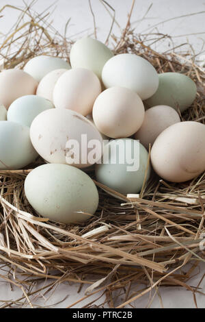 lot of eggs in multiple colors Stock Photo - Alamy