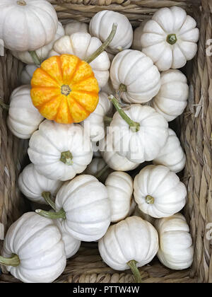 Thanksgiving season still life with small pumpkins and fall leaves over ...