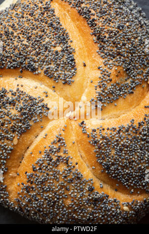 Small bread with poppy seeds and Wheat on wooden background Stock Photo ...