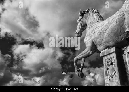 Roman statue animal old marble sculpture detail dog Stock Photo - Alamy