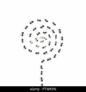 The ant and the question mark Stock Photo - Alamy