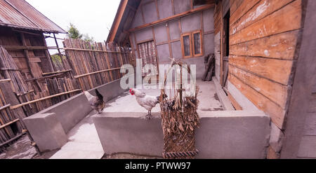 India, Arunachal Pradesh, Old Ziro village house on stilts Stock Photo ...