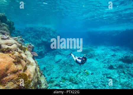 Woman exploring a coastal reef underwater, Niue Stock Photo - Alamy