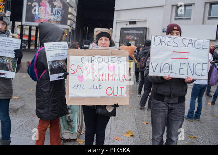 Paris: Gather organized in tribute to the young tiger Mevy Stock Photo ...