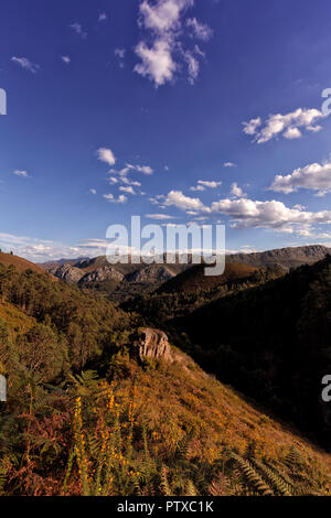 Spain landscape with eucalyptus forests and mountains Stock Photo - Alamy