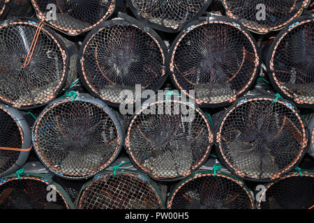 Nasa para pesca Stock Photo - Alamy