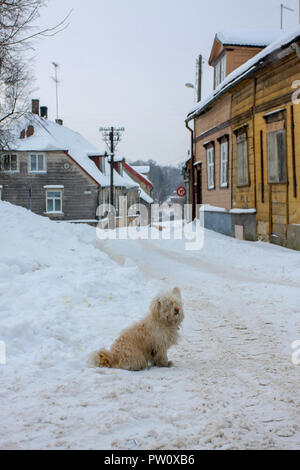 Winter in town. Cesis, Latvia Stock Photo - Alamy