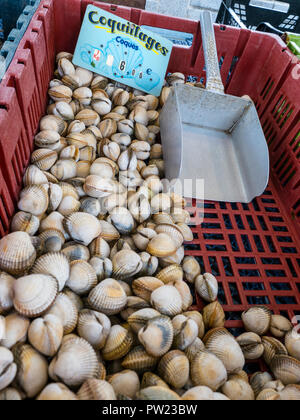 basket of cockles Stock Photo - Alamy