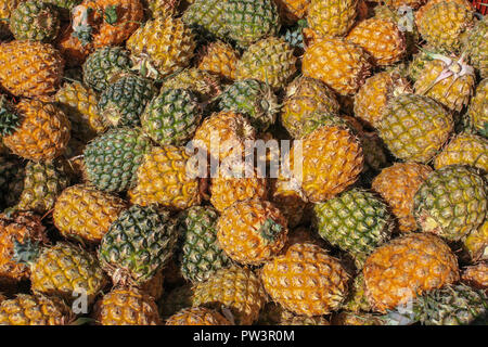 BORA BORA, FRENCH POLYNESIA-JULY 21, 2009 - When the 4x4 reaches the ...
