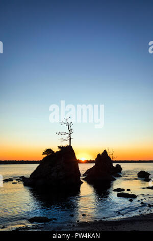 Three Graces rock formation at Garibaldi Oregon Coast during low tide ...