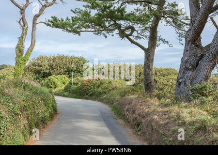Countryside road in Guernsey Stock Photo - Alamy