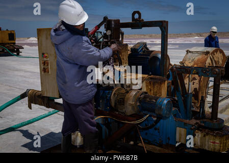 A salt mine near the Cape Cross seal colony on Namibia's Skeleton Coast ...