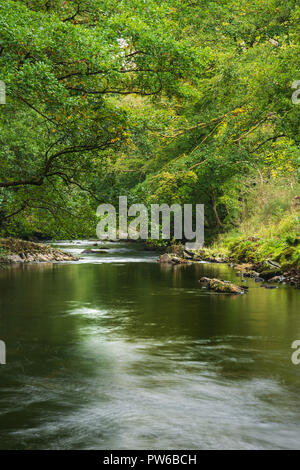 Vibrant landscape of a river slowly flowing through a colorful forest ...