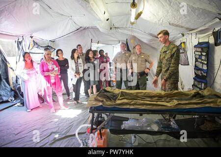 A U.S. Navy Corpsman with Shock Trauma Platoon One, Bravo Surgical ...