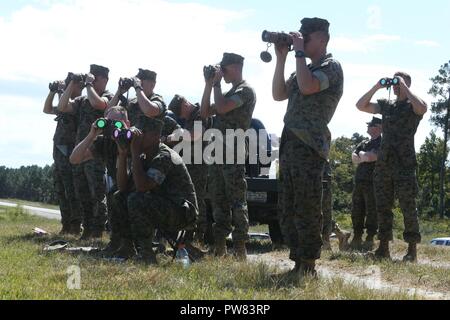 U.S. Marines with 2d Assault Amphibian Battalion, 2d Marine Division ...
