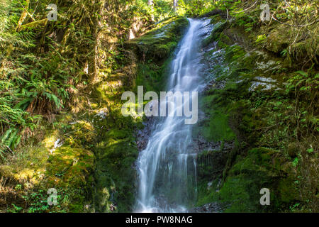 Merriman Falls. Olympic National Park, Washington, USA Stock Photo - Alamy