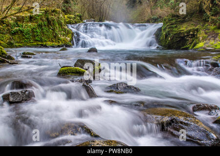Sweet Creek Falls trail near Mapleton, Oregon Stock Photo - Alamy