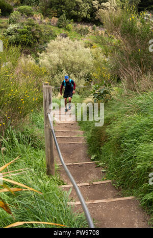 Crater Rim Ultra trail running race. Port Hills, Christchurch, New ...