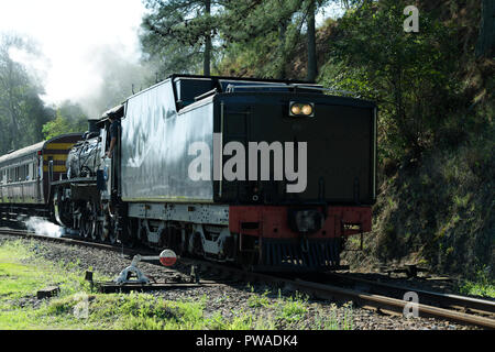 Steam train with Class 19D locomotive operated by Umgeni Steam Railway ...