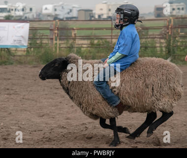 Kids participate in the mutton busting / sheep riding competition at ...