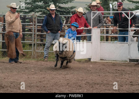 Kids participate in the mutton busting / sheep riding competition at ...