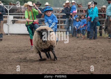 Kids participate in the mutton busting / sheep riding competition at ...