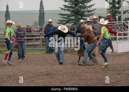Kids participate in the mutton busting / sheep riding competition at ...