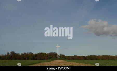 The Popes Cross in Phoenix Park Ireland Stock Photo - Alamy