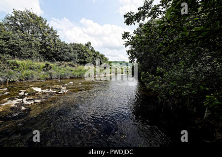 Llangurig is a village and community in Montgomeryshire, Powys, Wales ...