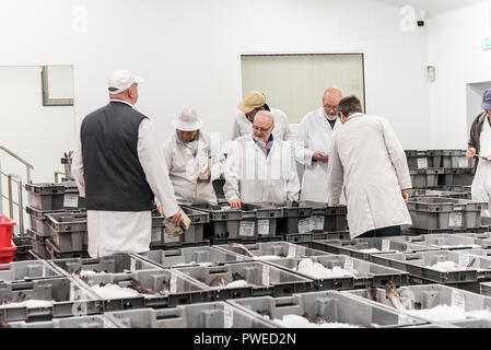Newlyn fish market auction Cornwall Stock Photo - Alamy