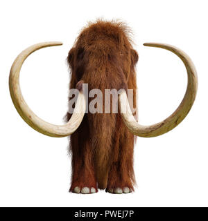 woolly mammoth, prehistoric mammal front view isolated with shadow on ...