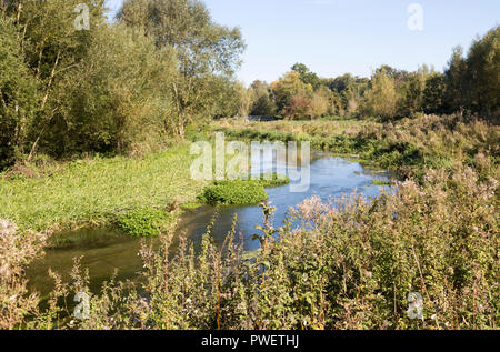 UK, England, Wiltshire,, Netheravon, River Avon, chalk stream at edge ...