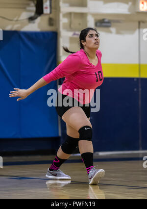 Volleyball action with American Christian Academy vs Butte Valley in ...