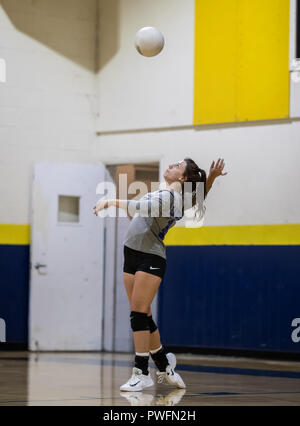 Volleyball action with American Christian Academy vs Butte Valley in ...