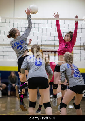 Volleyball action with American Christian Academy vs Butte Valley in ...
