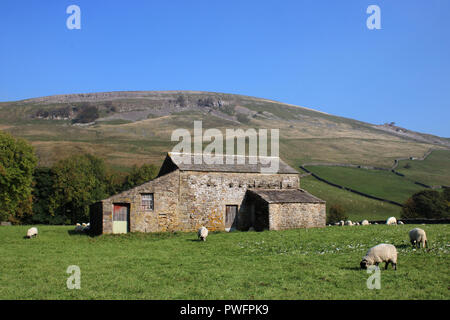 Field barn, known locally as a cowhouse (or cow'us), near Muker ...