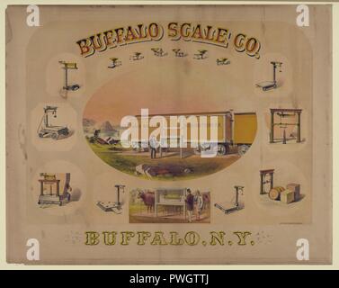 Buffalo scale co Stock Photo - Alamy