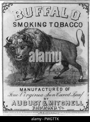 Buffalo Smoking Tobacco Stock Photo - Alamy