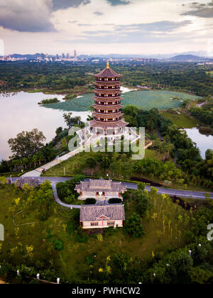 An aerial view of Lotus pond Stock Photo - Alamy