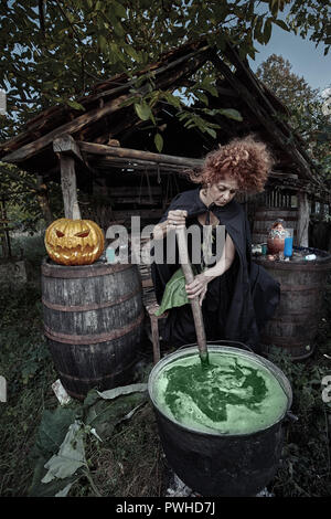 Witch boiling spells in a cast iron black pot in her shed Stock Photo ...